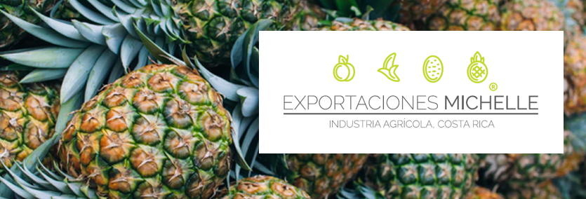 Entrevista con César Suárez, de la empresa Michelle en Costa Rica ...